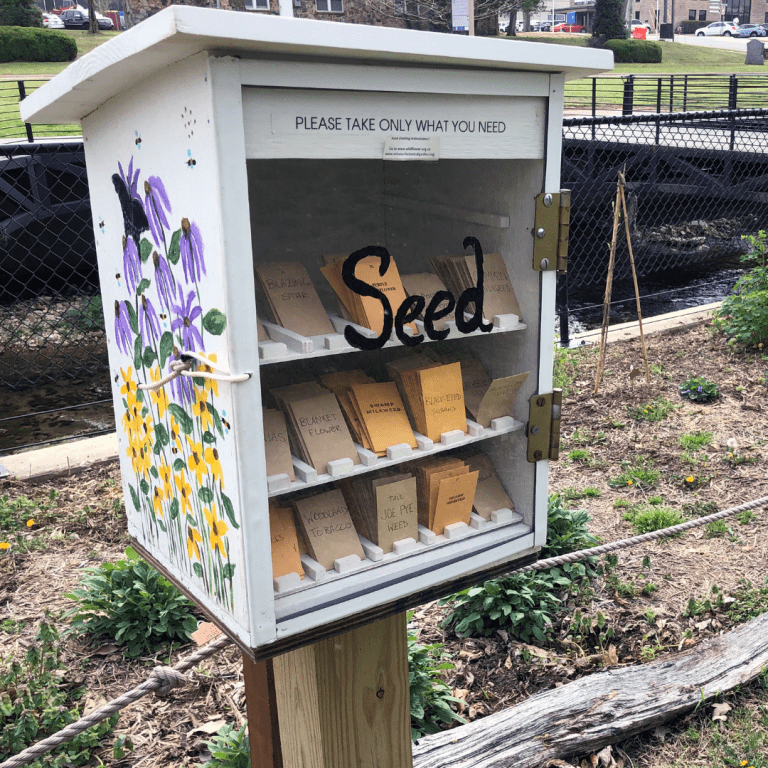 Seed Library FAQs - Shiloh Museum of Ozark History
